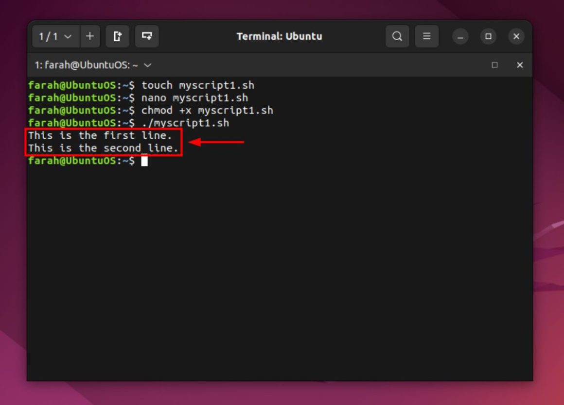 4 Best Ways to echo a New Line in Bash