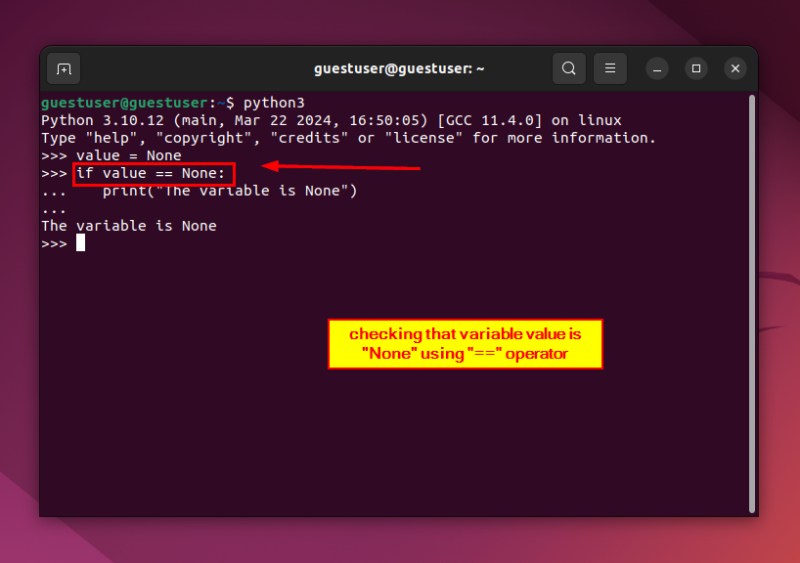 How to Check the None Value in Python [4 Best Ways]