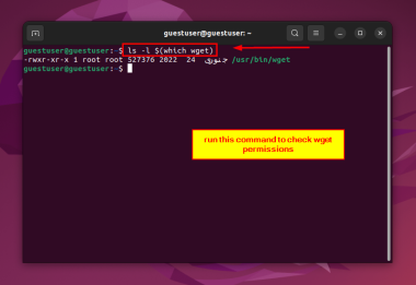 3 Quick Ways to Fix the "wget command not found" Error