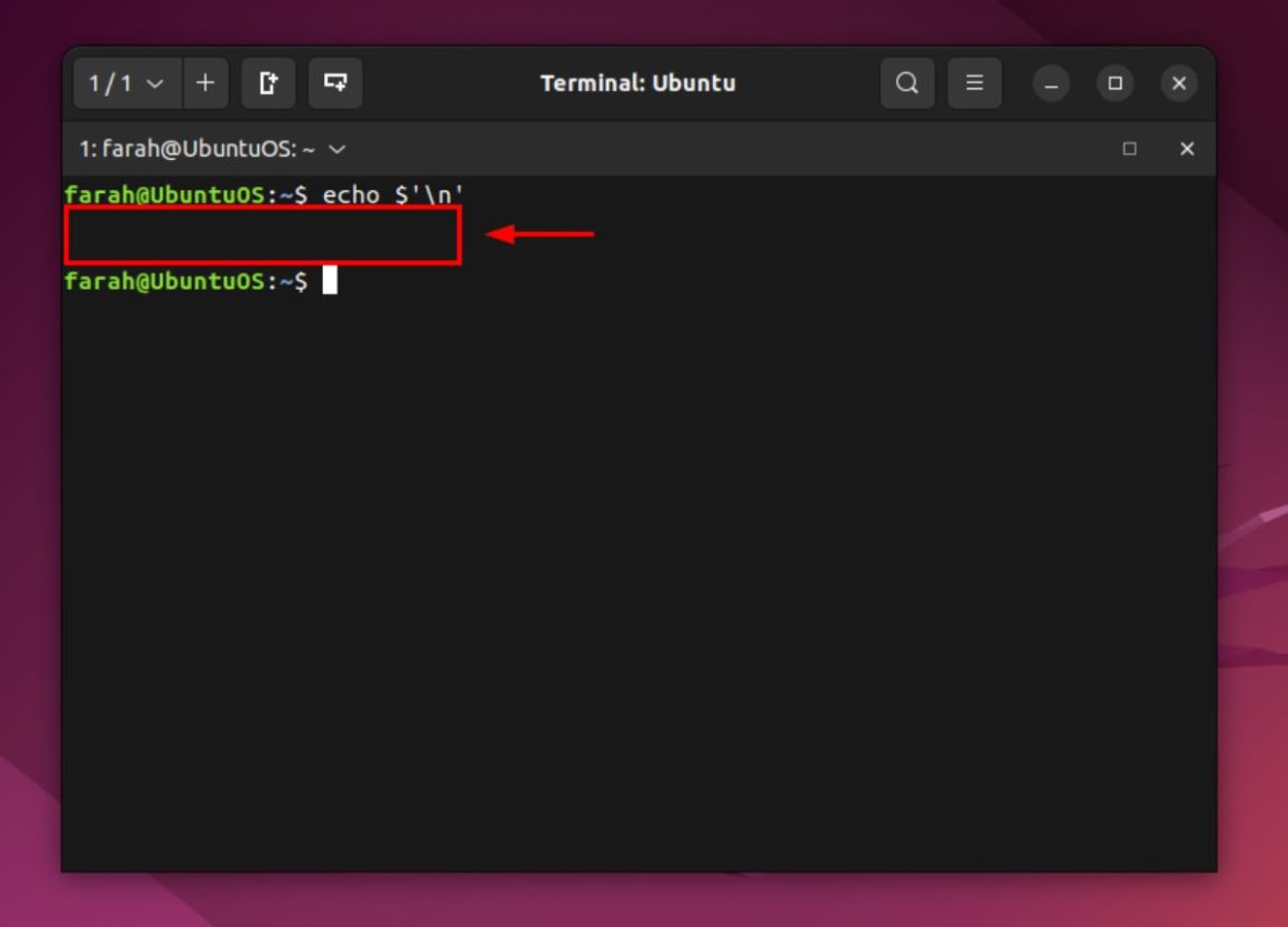 4 Best Ways to echo a New Line in Bash