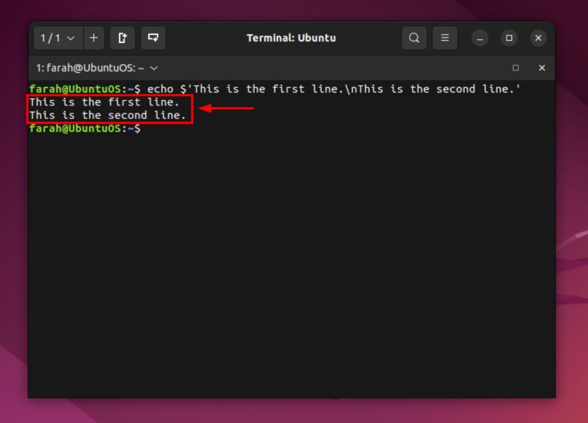 4 Best Ways to echo a New Line in Bash