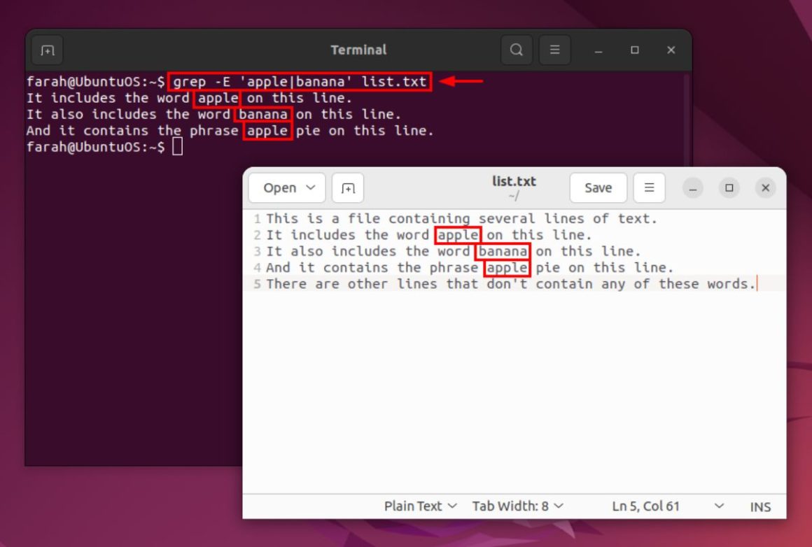How to Use grep OR Condition [7 Best Ways]