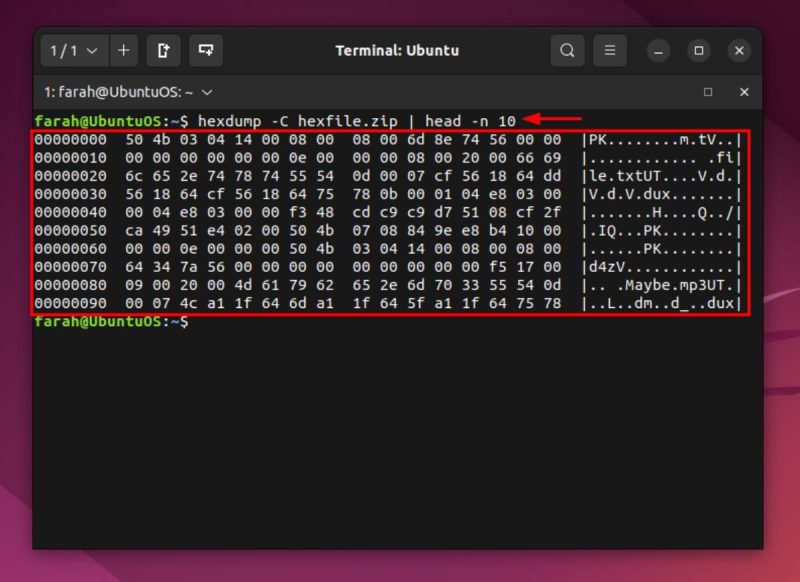 10 Best Ways to Use Linux hexdump Command