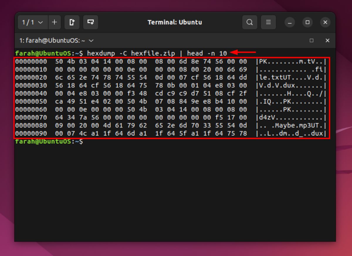 10 Best Ways to Use Linux hexdump Command