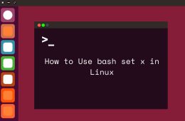 4 Best Ways to echo a New Line in Bash