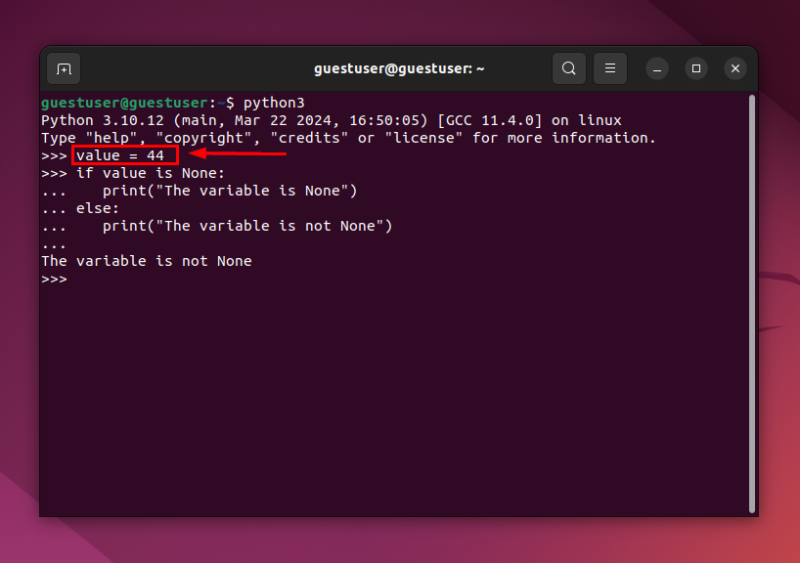 How to Check the None Value in Python [4 Best Ways]