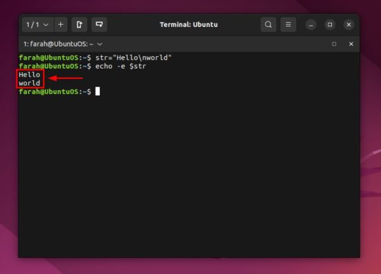 4 Best Ways to echo a New Line in Bash
