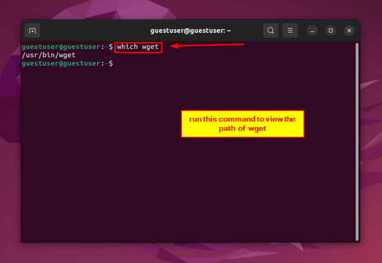 3 Quick Ways to Fix the "wget command not found" Error