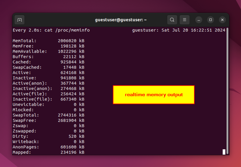 How to Check Memory in Linux [8 Easy Ways]
