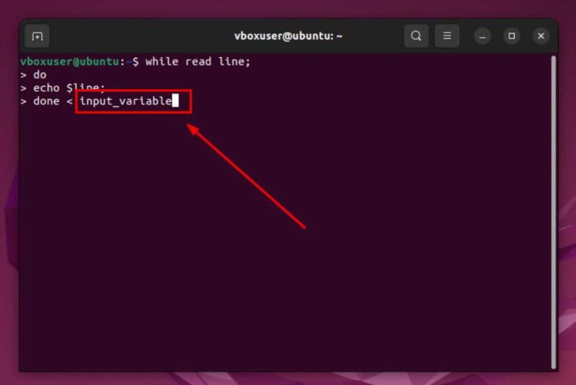 How To Read A File Line By Line In Bash 5 Easy Methods 