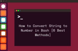 4 Best Ways to echo a New Line in Bash