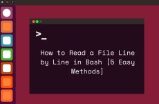 How to Use bash set x in Linux [4 Practical Examples]
