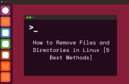 How to Use bash set x in Linux [4 Practical Examples]