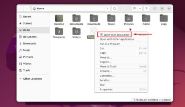 How to Make a File Executable in Linux [3 Best Ways]