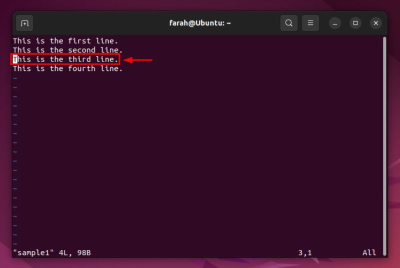 How to Delete Lines in a File Using Vim [8 Easy Ways]
