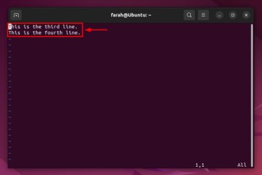 How to Delete Lines in a File Using Vim [8 Easy Ways]