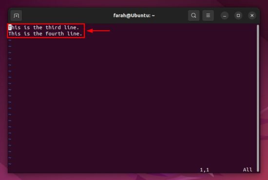 How to Delete Lines in a File Using Vim [8 Easy Ways]