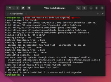 How to Clear the Terminal Screen in Linux [4 Quick Ways]