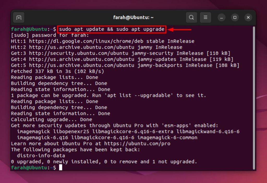How to Clear the Terminal Screen in Linux [4 Quick Ways]