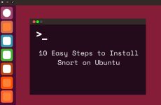 How to Install OpenSSH on Ubuntu[15 Easy Steps]