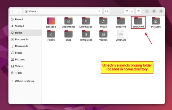 How to Install OneDrive on Ubuntu [16 Simple Steps]