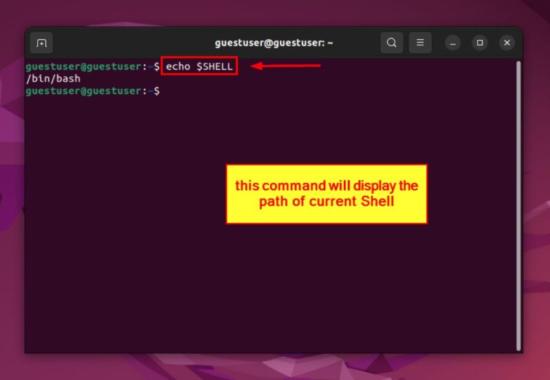 How to Know What Shell You are Using? [7 Proven Methods]