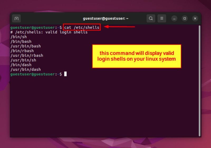 How to Know What Shell You are Using? [7 Proven Methods]