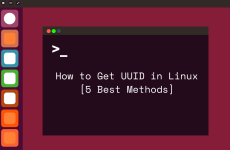 How to Create a Text File in Linux Terminal [5 Best Ways]