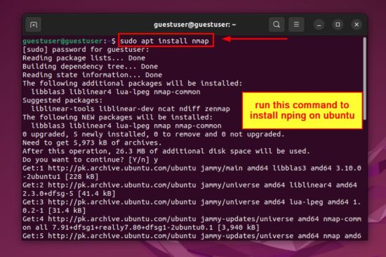 How to Do a UDP Ping in Linux [3 Effective Methods]