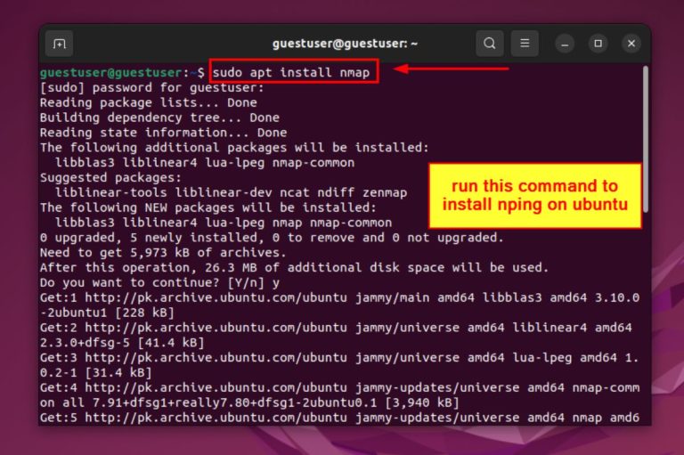 How to Do a UDP Ping in Linux [3 Effective Methods]
