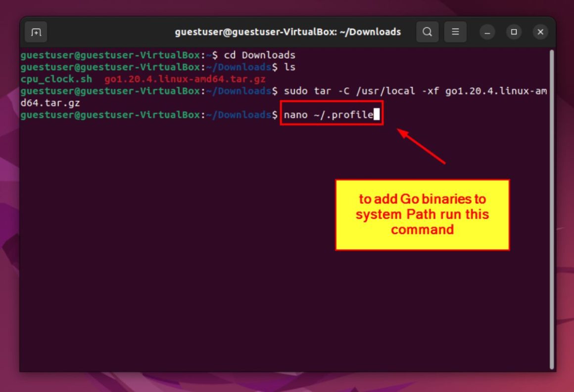 How to Install Go on Ubuntu[3 Easy Methods]