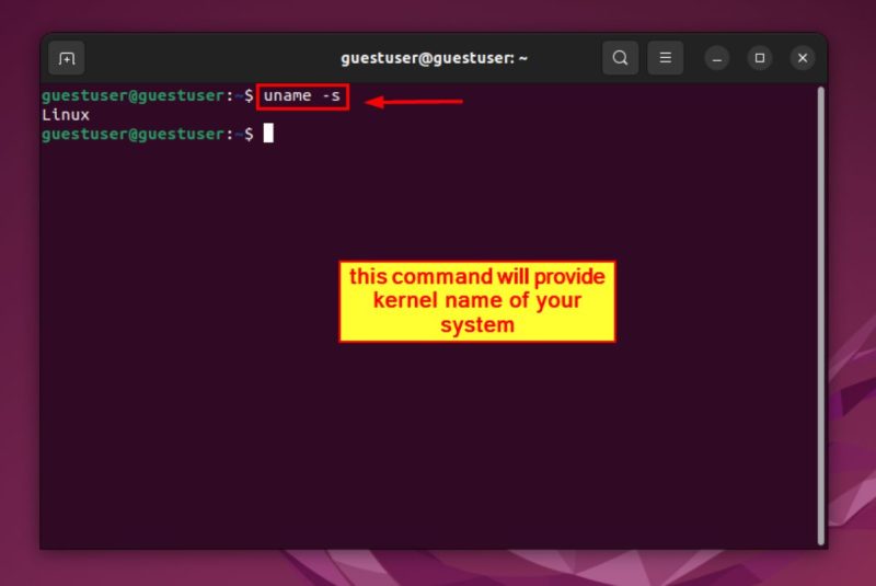 How to Effectively Use Linux Uname Command [9 Best Ways]