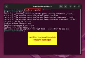 How to Install Python3 on Ubuntu [3 Best Methods]
