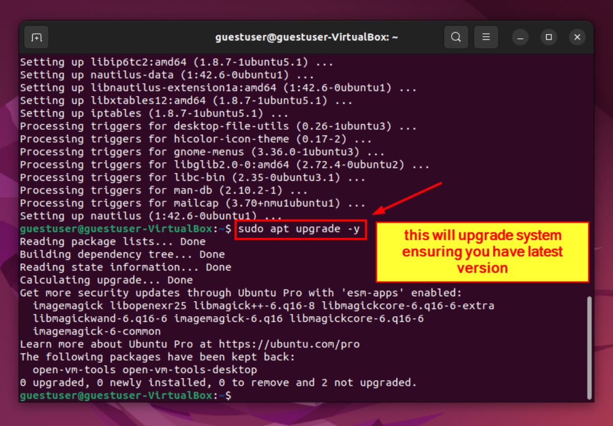 How to Install Go on Ubuntu[3 Easy Methods]