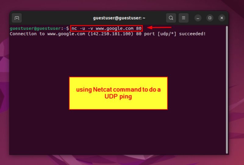 How to Do a UDP Ping in Linux [3 Effective Methods]