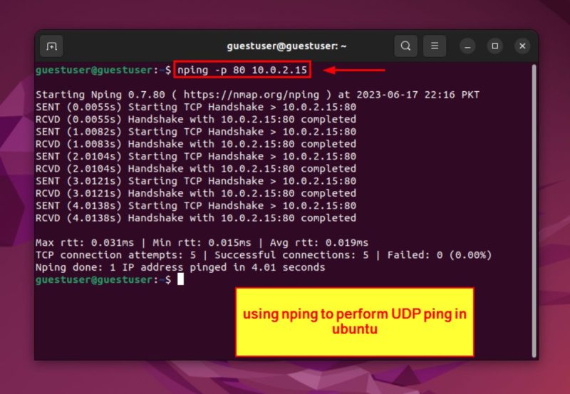 How to Do a UDP Ping in Linux [3 Effective Methods]