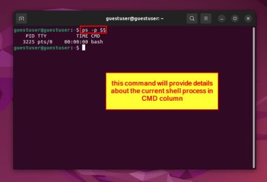 How to Know What Shell You are Using? [7 Proven Methods]