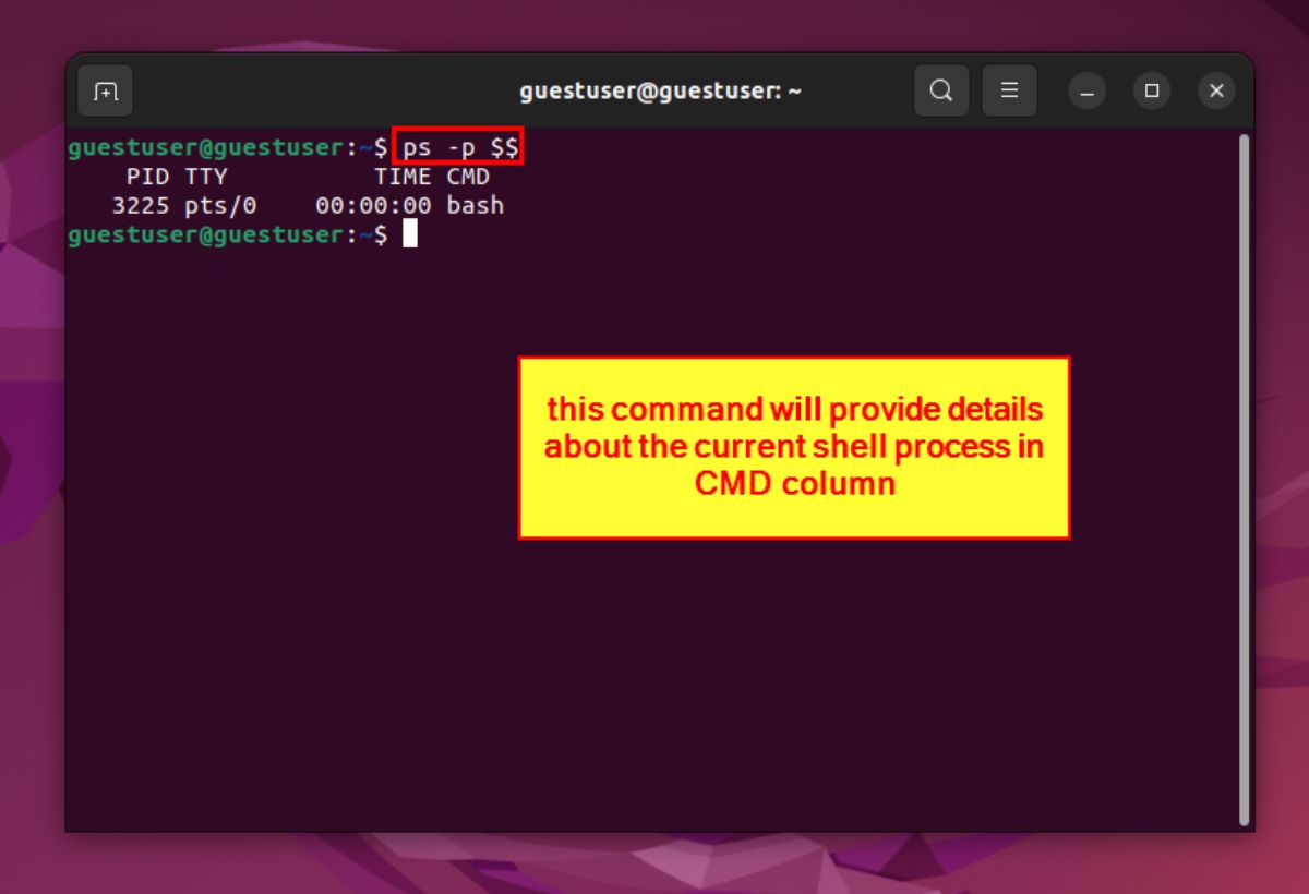 How to Know What Shell You are Using? [7 Proven Methods]