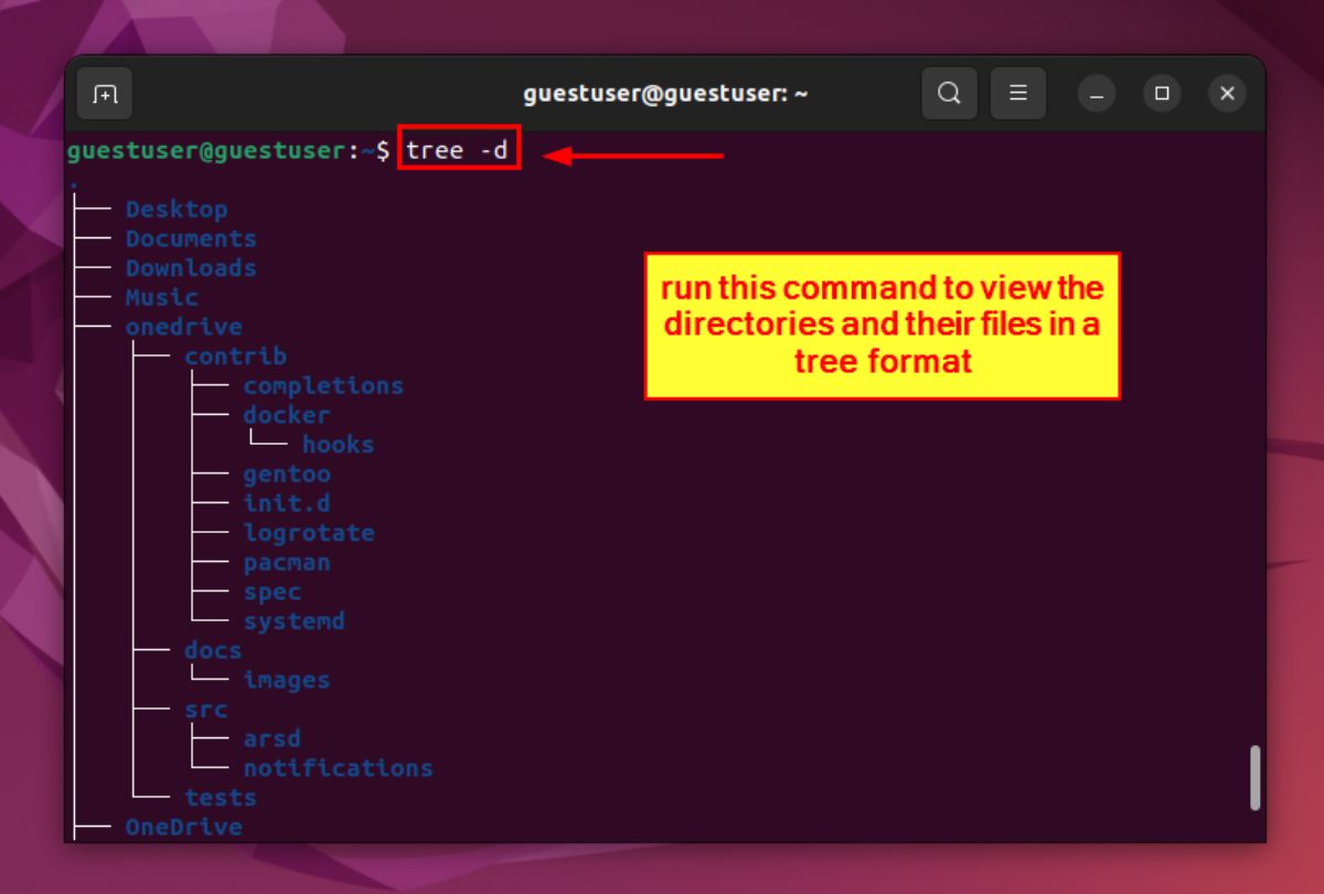 7 Easy Methods to List Only Directories Linux