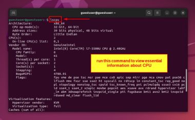 8 Effective Ways to Get CPU Info Linux
