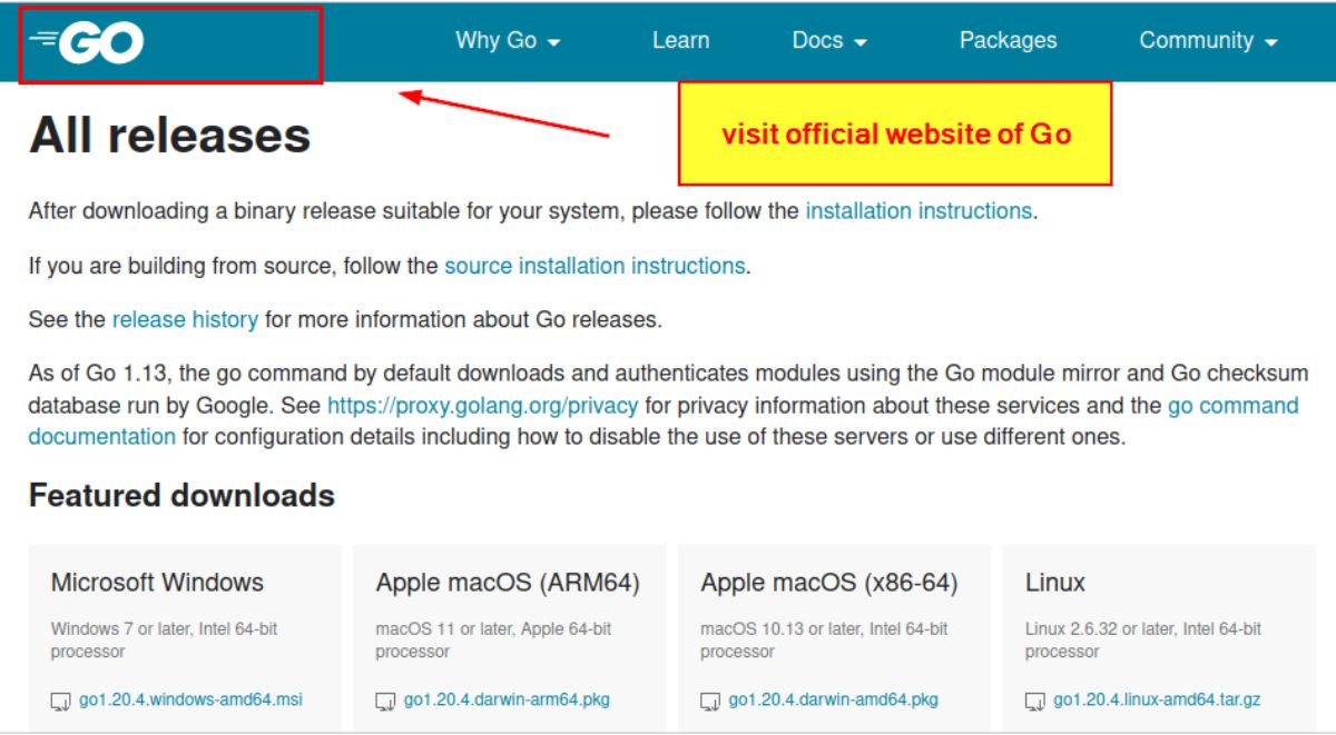 How to Install Go on Ubuntu[3 Easy Methods]