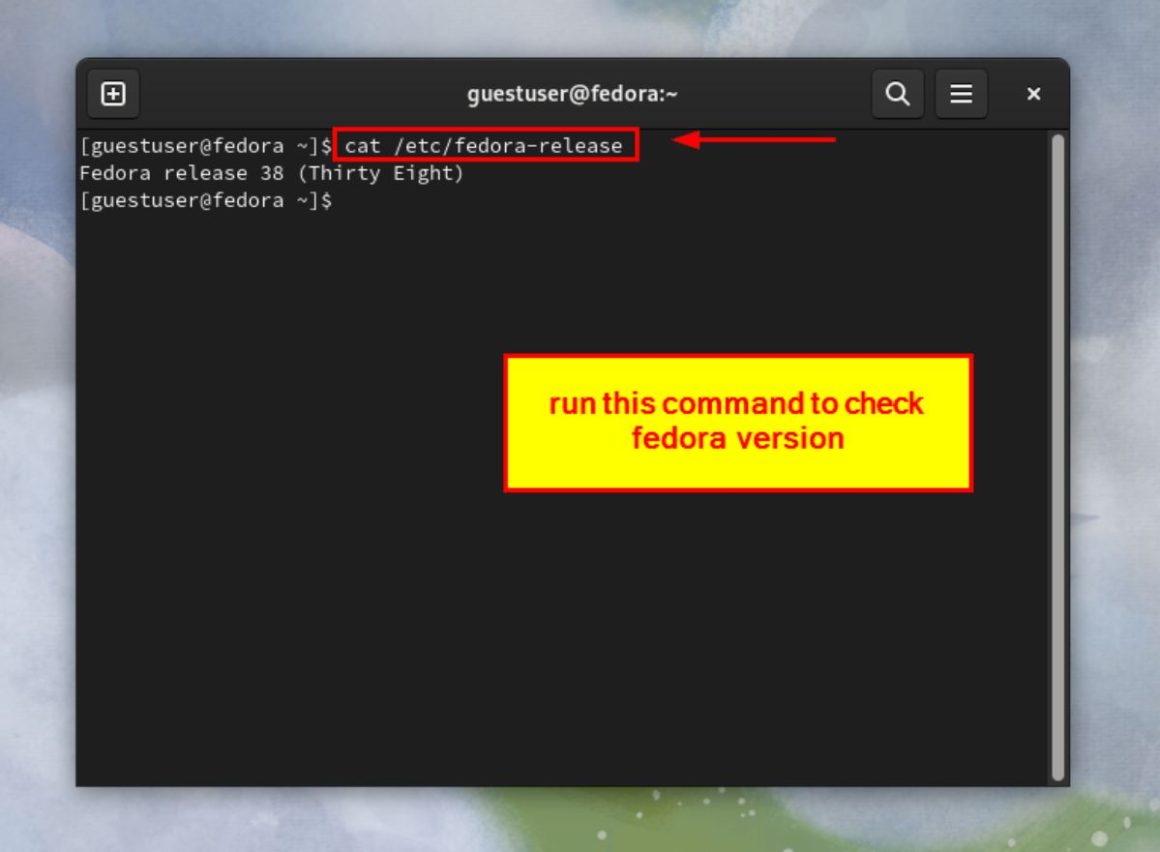 3 Effective Methods to Update Fedora Linux to Get the Latest Software