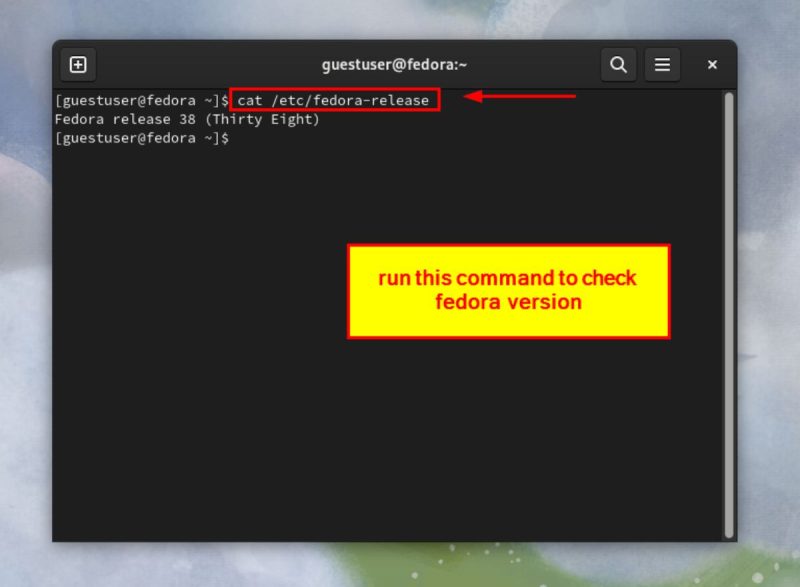 3 Effective Methods to Update Fedora Linux to Get the Latest Software
