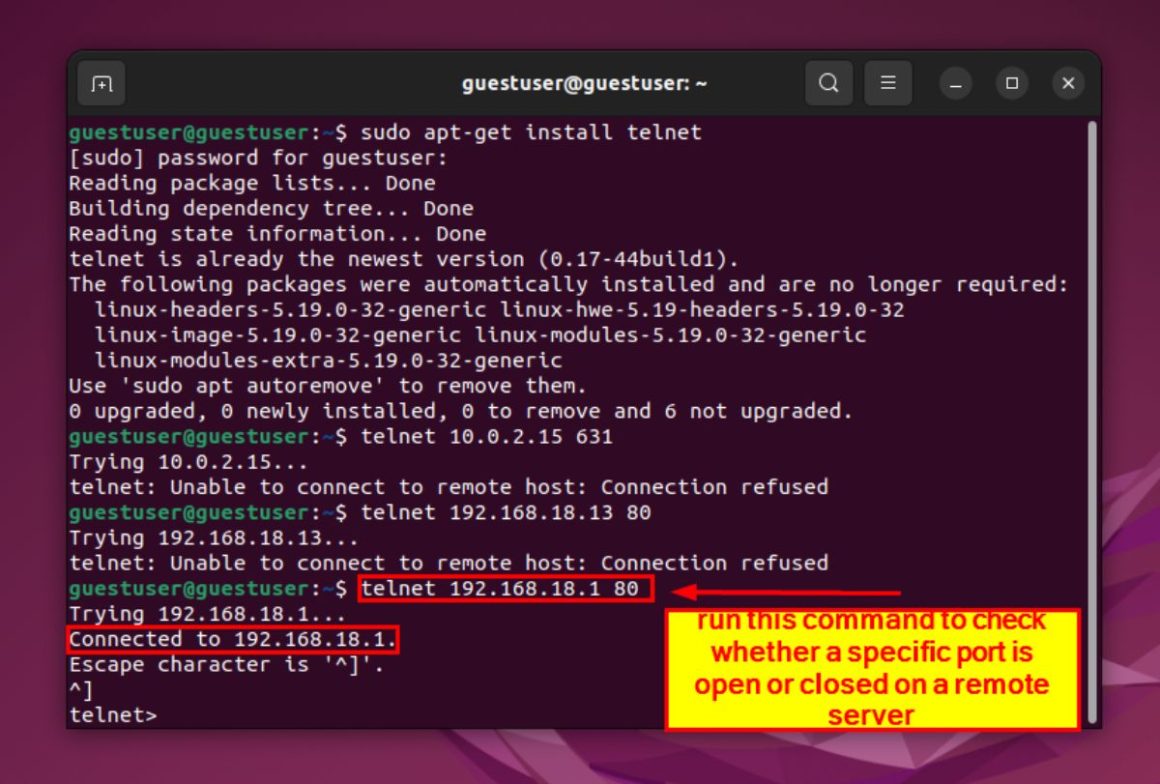 Check If a Port Is Open on a Remote Linux PC- 5 Best Methods
