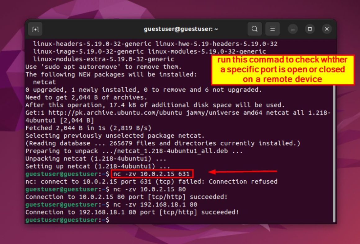 Check If a Port Is Open on a Remote Linux PC- 5 Best Methods