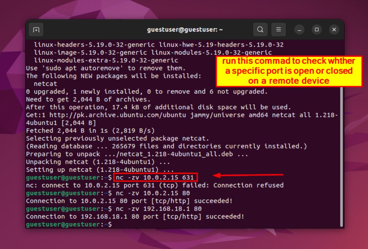 Check If a Port Is Open on a Remote Linux PC- 5 Best Methods