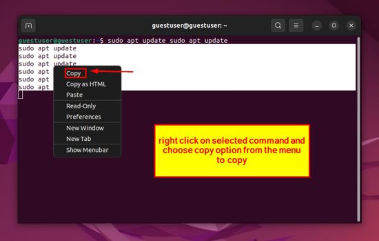 How To Copy and Paste in Linux Terminal[3 Best Methods]