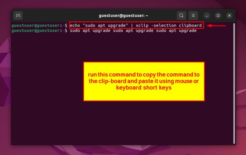 How To Copy and Paste in Linux Terminal[3 Best Methods]