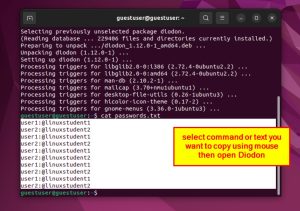 How To Copy and Paste in Linux Terminal[3 Best Methods]