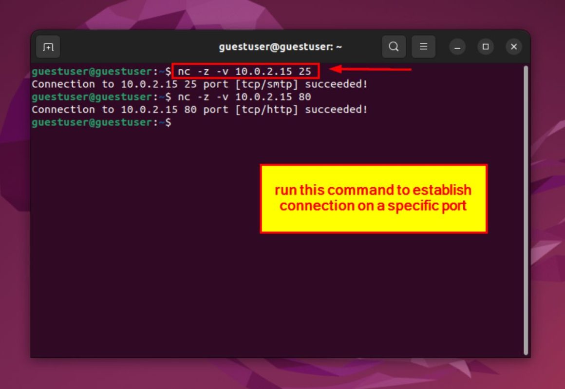 How to Use the Netcat Command in Linux [6 Best Uses]